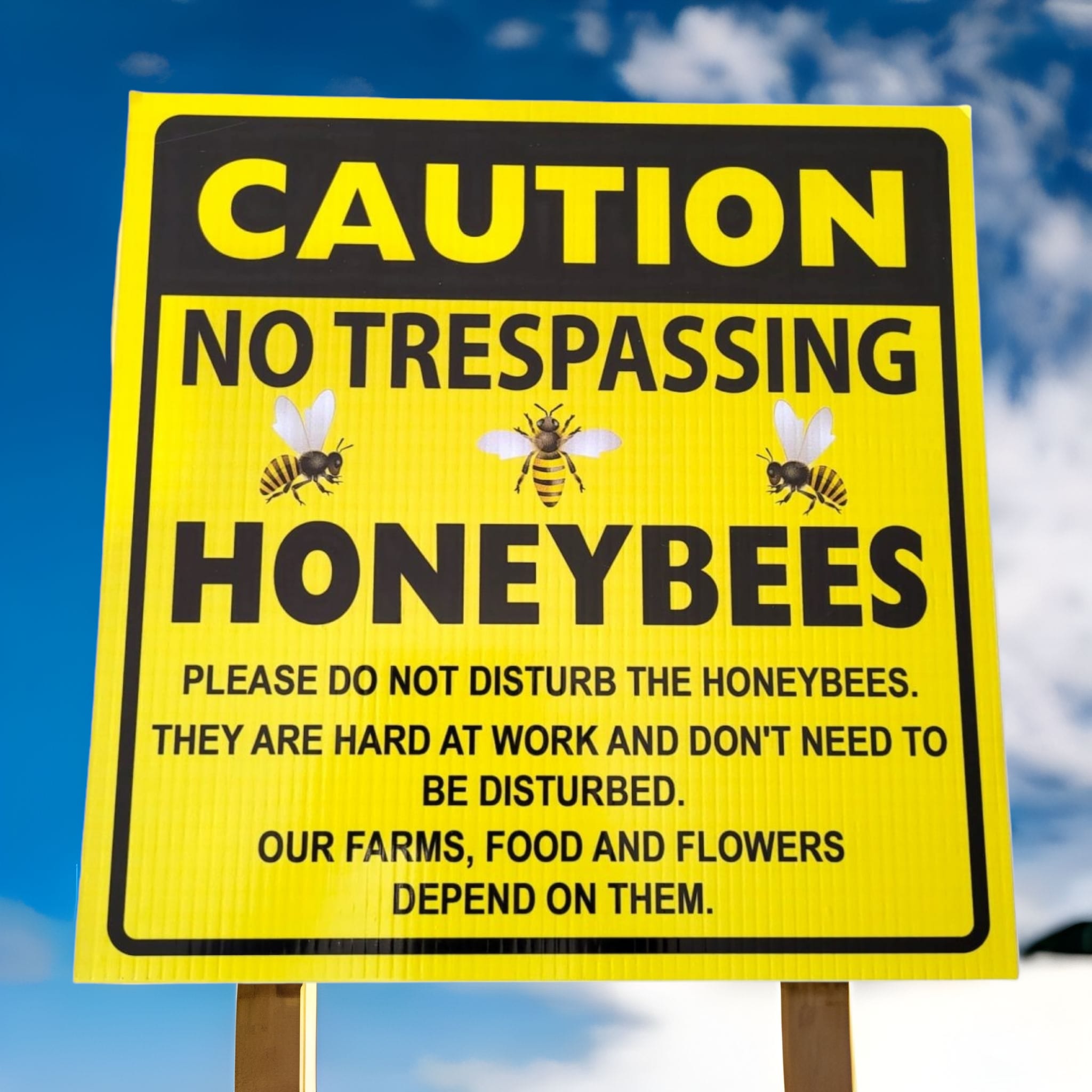 Honey Bees Safety Sign | Beekeeping Safety Sign | Donagh Bees